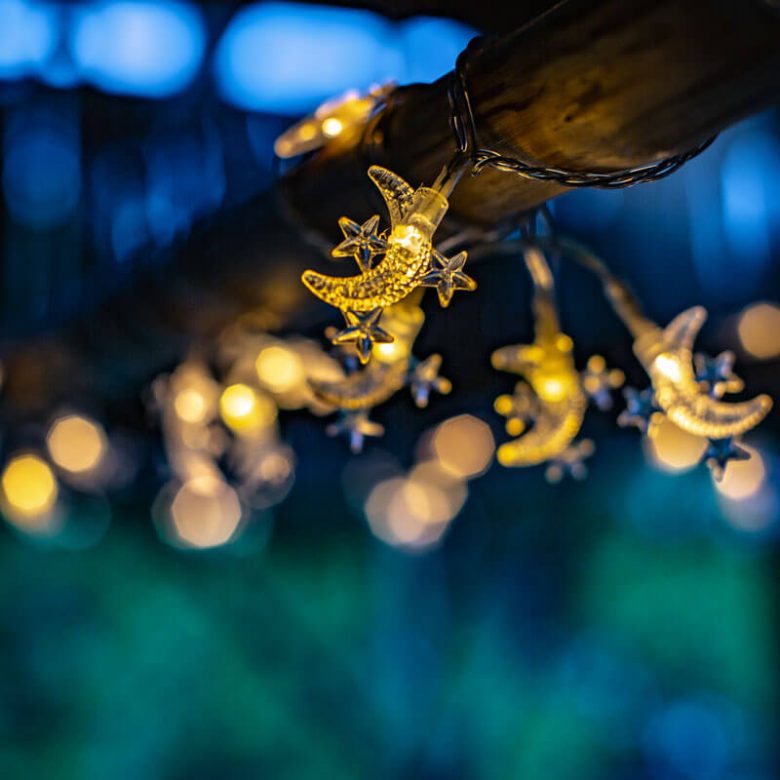 All inclusive Packages - Urraca Monkey Island