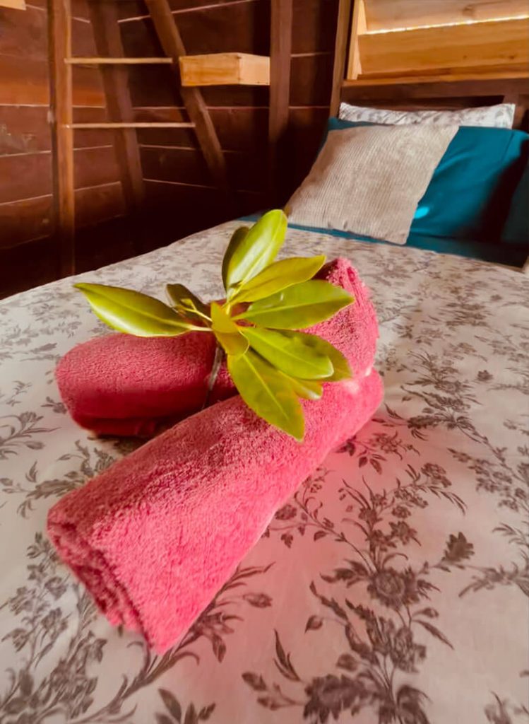 Ocean View Bungalows with Queen Bed | Urraca Monkey Island